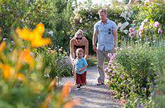 Become a member of the RHS / RHS Gardening