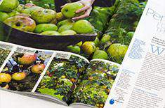 Become a member of the RHS / RHS Gardening