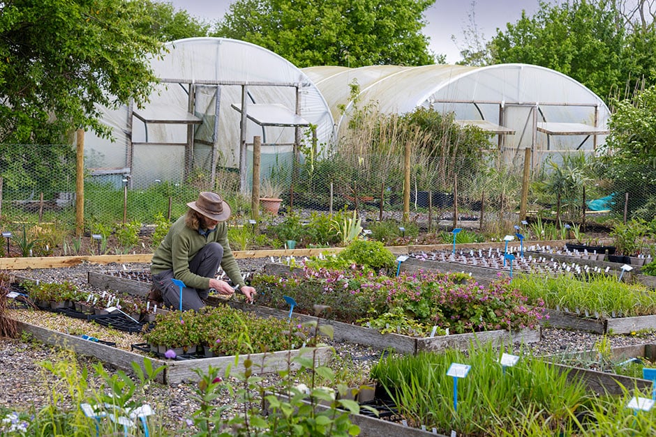 RHS Horticulture Hub | Expertise, research and resources / RHS