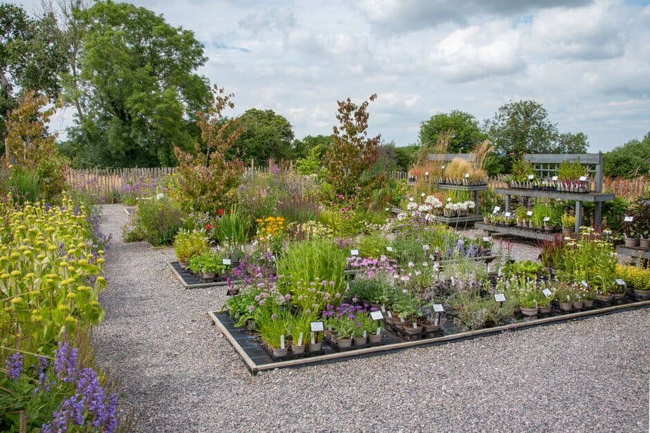 Flower Border In