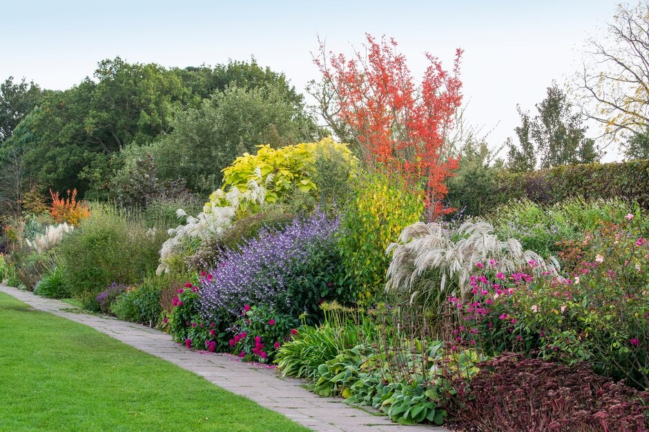 The new autumn palette | Garden Inspiration | RHS / RHS