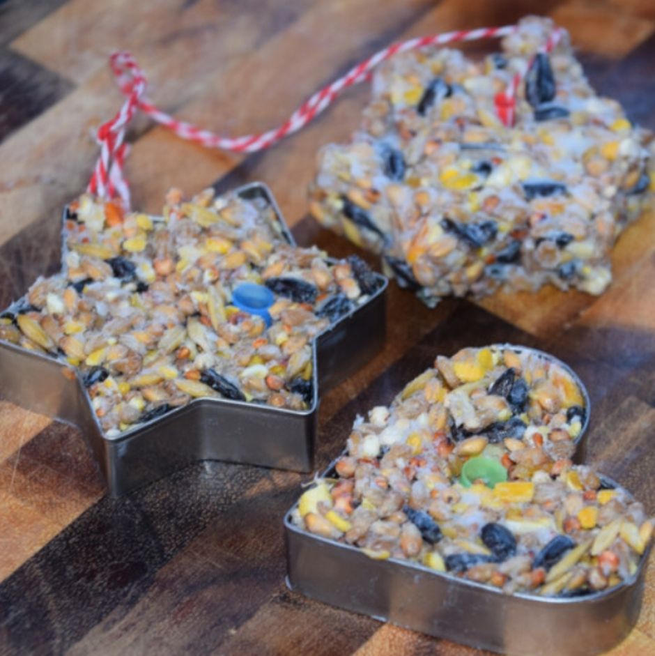 Bird Seed Cakes With Lard