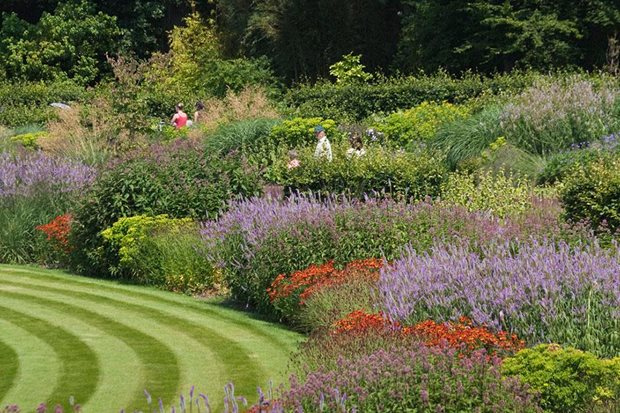 RHS Garden Wisley : Days and events in Surrey / RHS Gardening