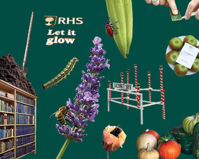 See what's in store at the RHS in 2026 / RHS
