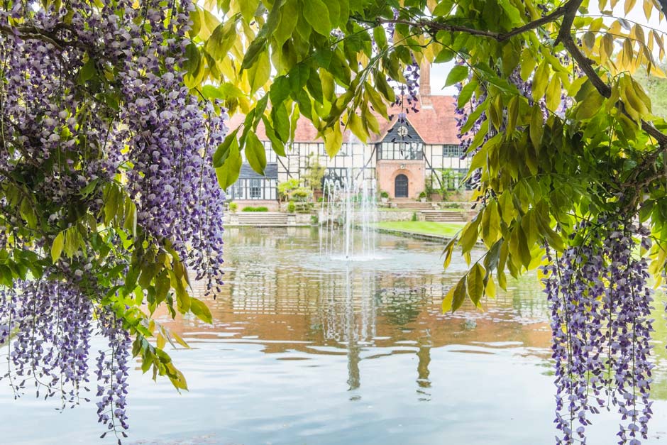 Group visits to RHS Gardens | RHS / RHS