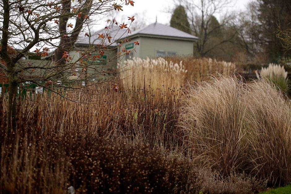 RHS Garden Harlow Carr | Events & attractions in Harrogate, Yorkshire ...