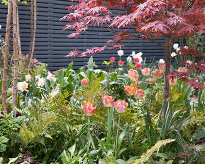 ‘Mr Plant Geek’ puts down roots: how a prolific plantsman transformed a ...