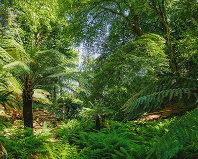 Meet the new RHS Partner Gardens / RHS