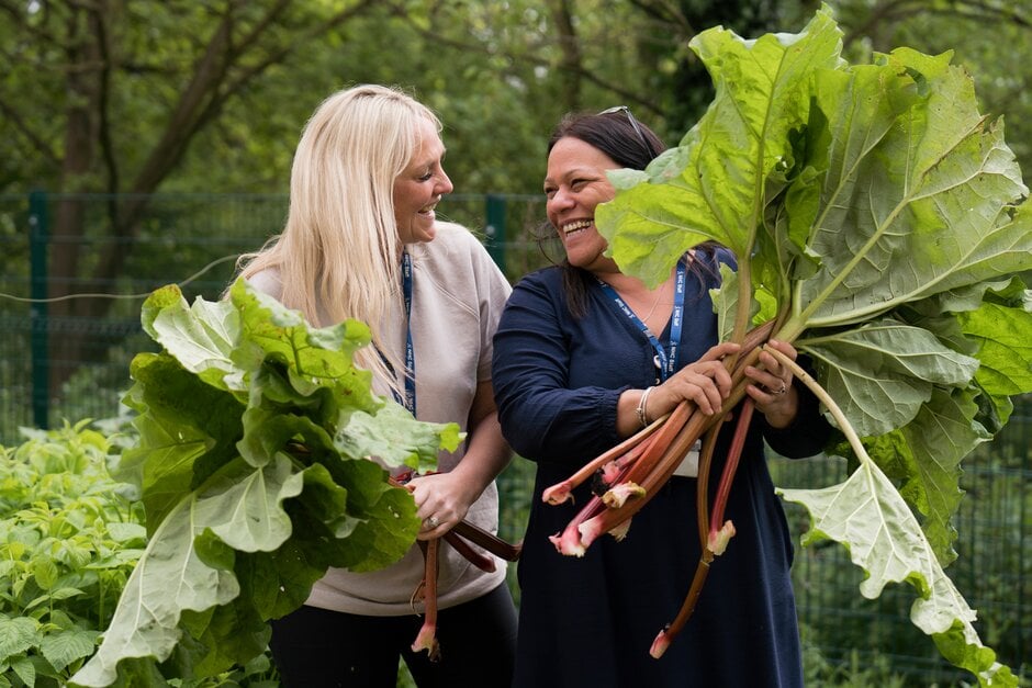 Get involved with the RHS / RHS