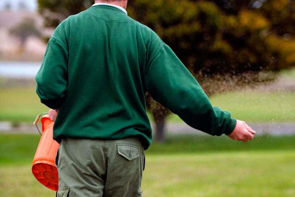 Monthly gardening tips & advice - April - lawns / RHS Gardening