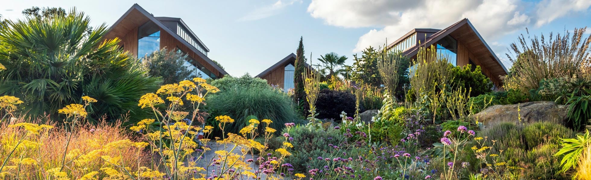 RHS Garden Hyde Hall | Events & attractions in Chelmsford, Essex / RHS