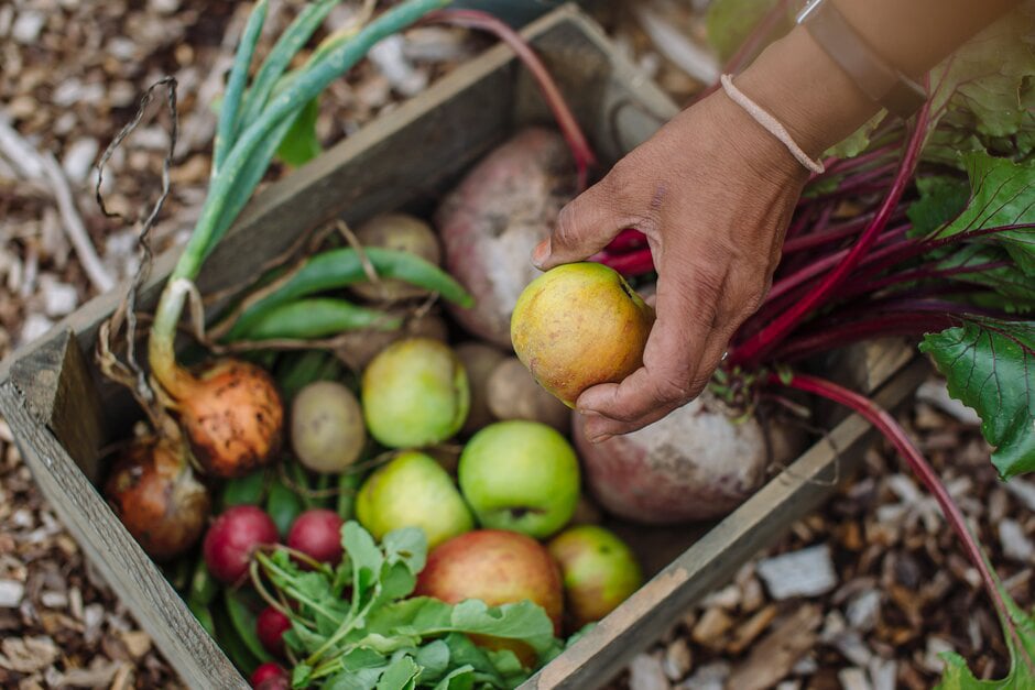 Plot to Plate at RHS Gardens / RHS