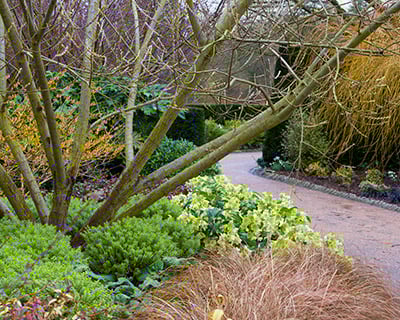 Create a garden that looks good all year / RHS