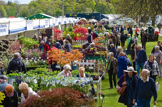 Information on RHS Malvern Spring Festival 2018 / RHS Gardening