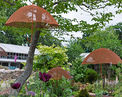 Award-winning ADHD Foundation Garden from RHS Chelsea Flower Show finds ...