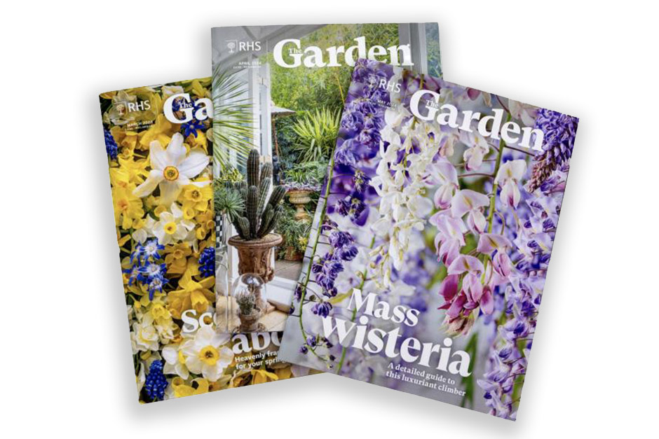 Advertise with the RHS / RHS