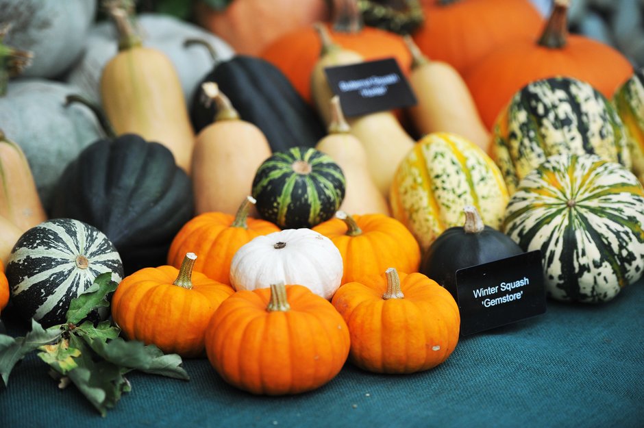 Identifying Types Of Squash 16 Types Of Winter Squash To Know (Plus