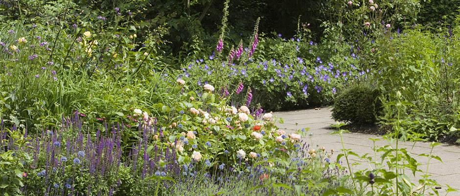 RHS Garden Harlow Carr | Events & attractions in Harrogate, Yorkshire ...