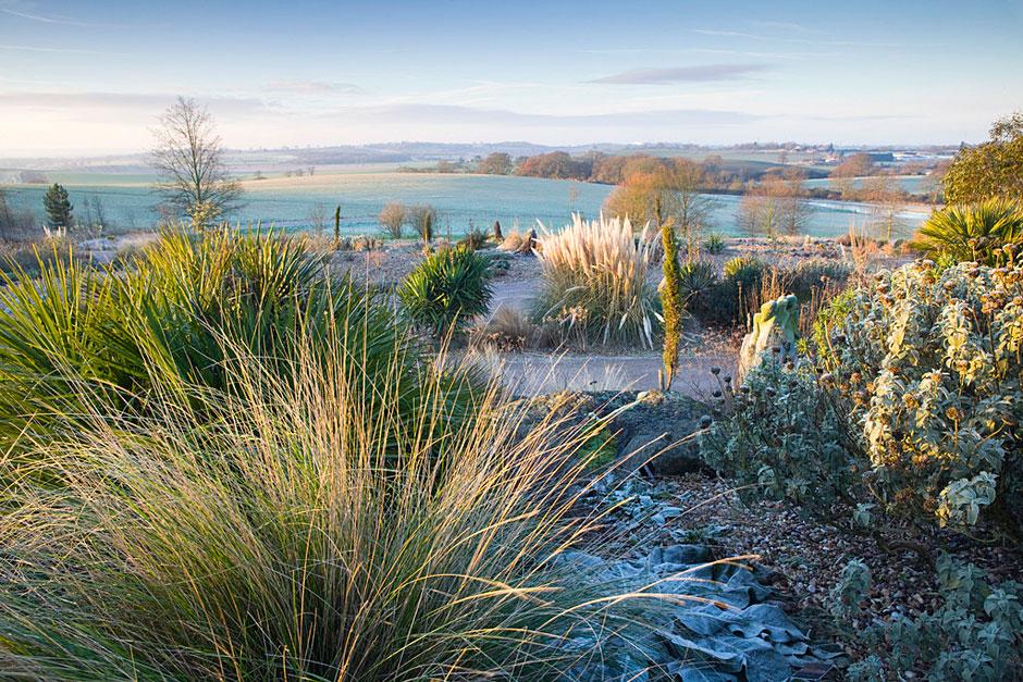 Donate to an RHS Garden / RHS