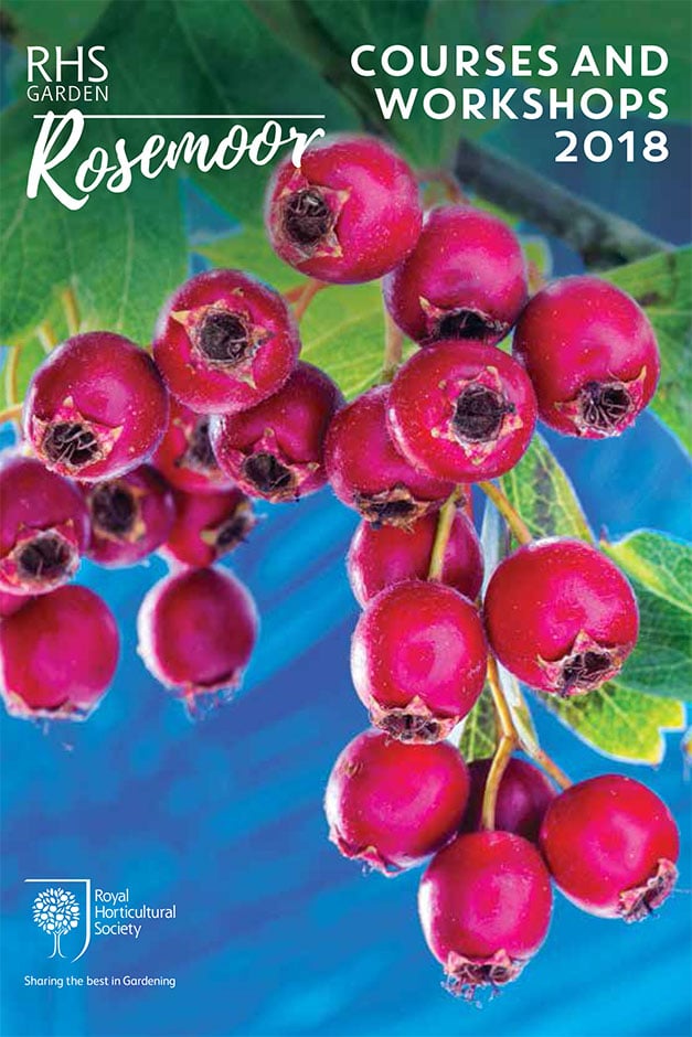 Learn with courses and workshops held in the RHS Gardens / RHS Gardening