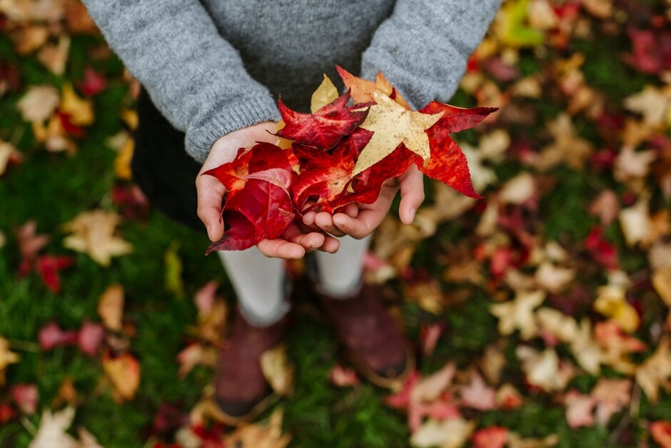 Eco-friendly christmas cards / RHS