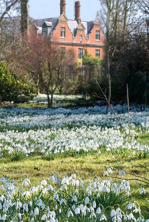 Days out for snowdrop lovers / RHS Gardening
