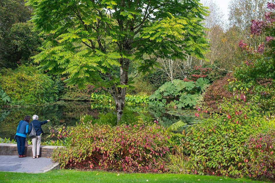 Plan your visit to RHS Garden Rosemoor / RHS Gardening