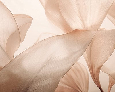 Mocha Mousse - 2025 Pantone Color of the Year – how to use it in your ...