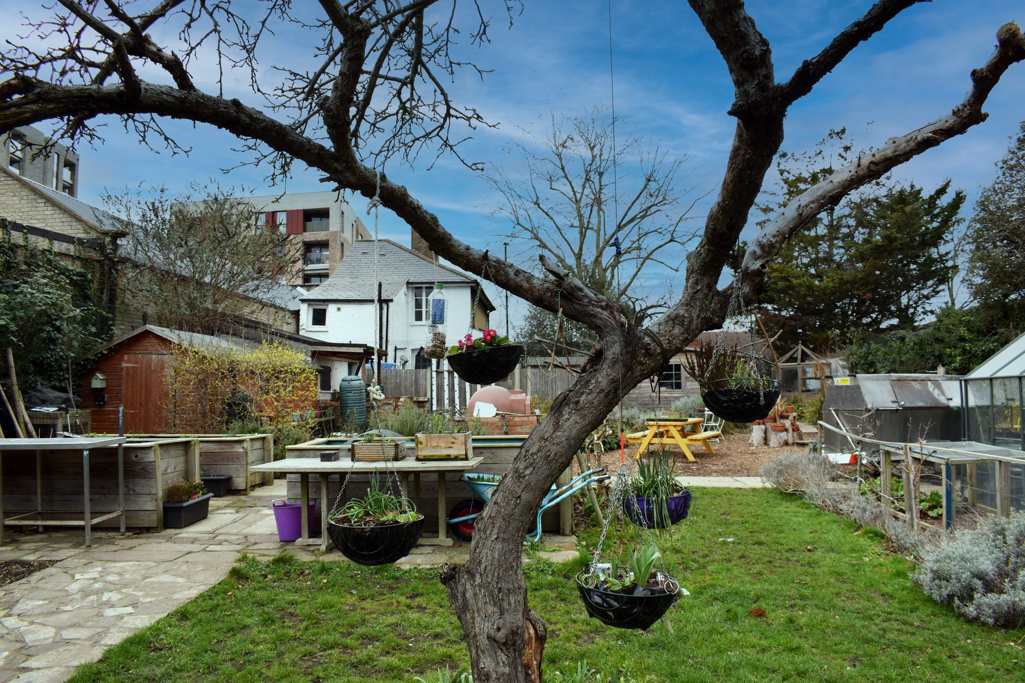 Conserving water in a London community kitchen garden / RHS