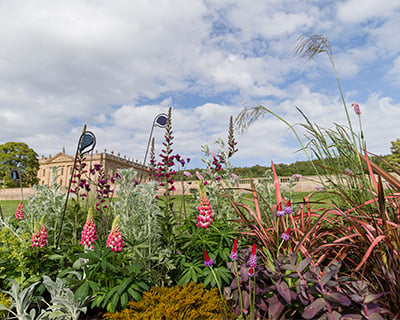 Glorious gardens to explore in the Midlands / RHS