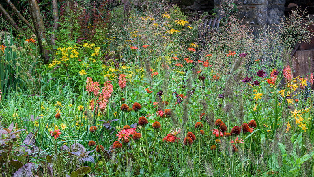 See The Blue Diamond Forge Garden, a working blacksmith’s artisan ...