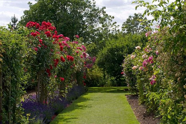 Beautiful open gardens to visit in the UK | Public gardens / RHS Gardening