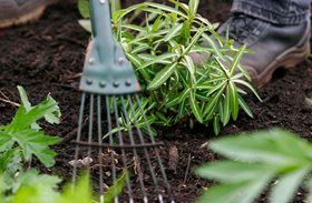 A beginner's guide to gardening / RHS Gardening