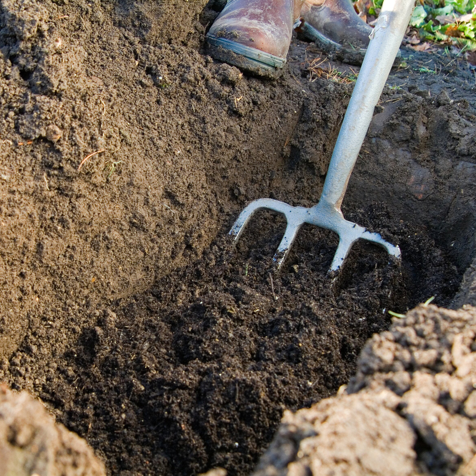 Double Digging The Garden Starting A New Vegetable Garden Dig | Grow