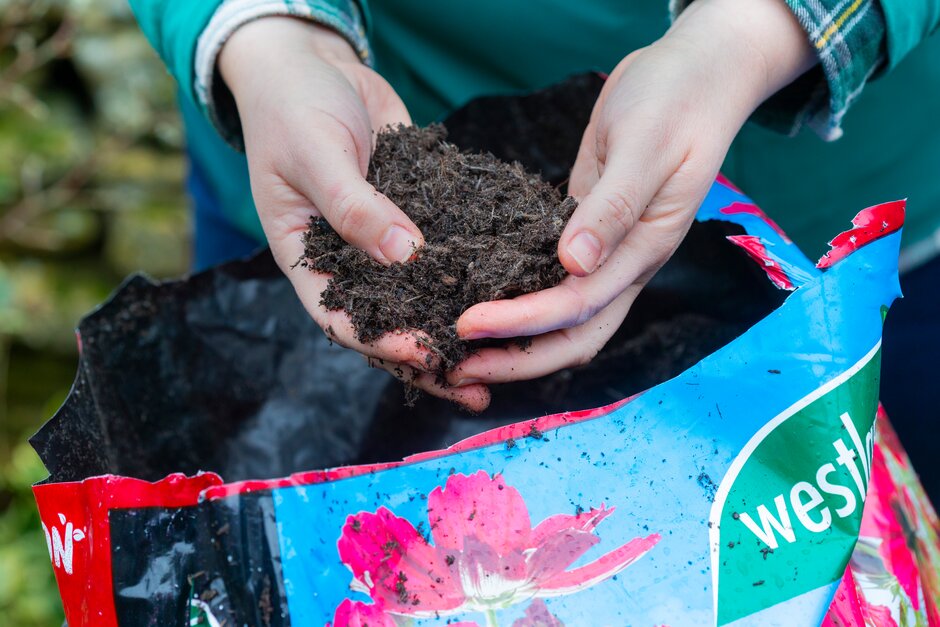 RHS research project to accelerate transition to peat-free / RHS Gardening