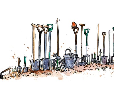 2024’s horticultural highlights / RHS