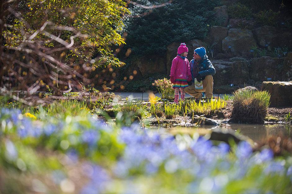 RHS Garden Rosemoor | Fun, family days out & events in North Devon ...