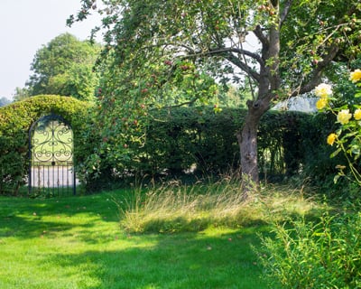 Plant a bare root mixed wildlife hedge / RHS