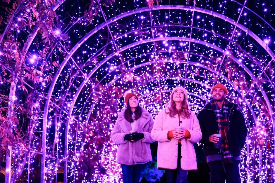 Group visits to RHS Glow | RHS / RHS