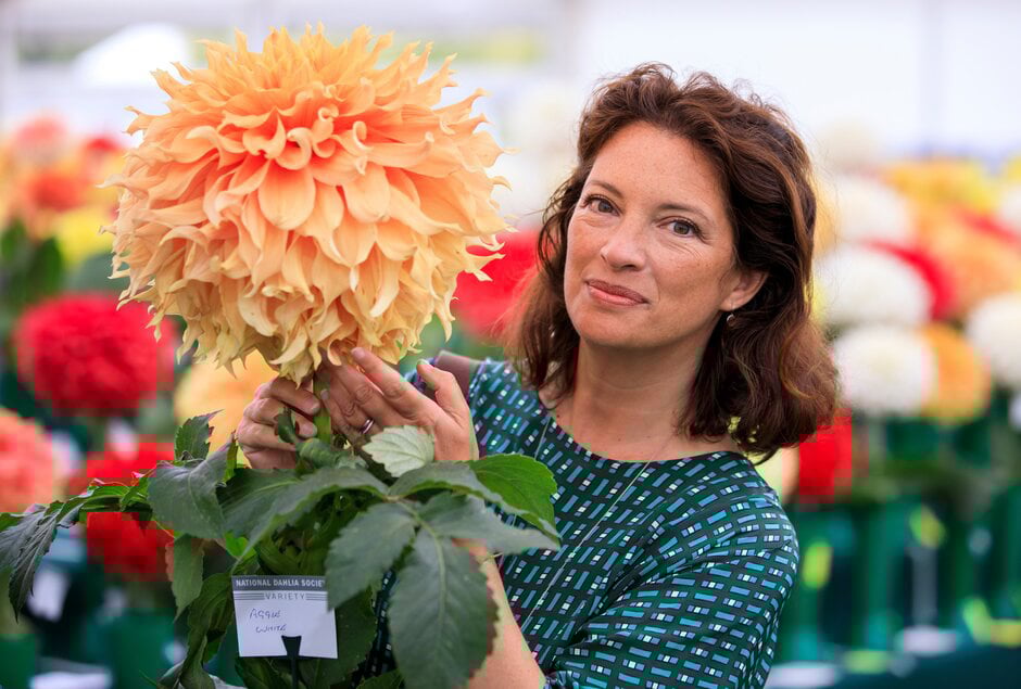 Wisley Flower Show at RHS Garden Wisley | days out & events in Surrey ...