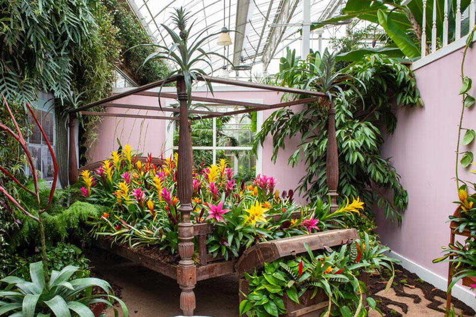 The Giant Houseplant Takeover at Wisley / Family days out & events in ...