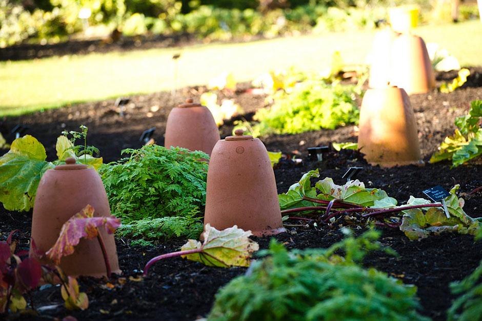 RHS Garden Harlow Carr | Events & attractions in Harrogate, Yorkshire ...