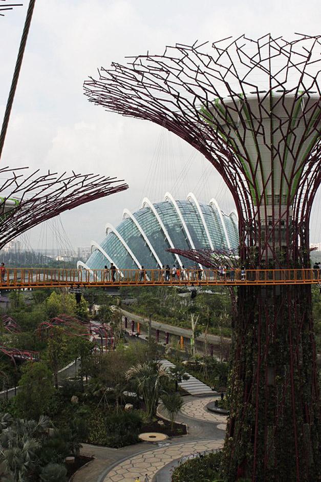 View an RHS gallery of Singapore's Gardens by the Bay / RHS