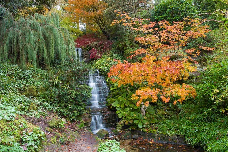 Rhs Shades Of Autumn My Traveling Joys: An Autumn Walk In RHS Wisley's