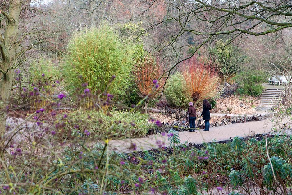 RHS Garden Wisley | Fun, family days out & events in Surrey / RHS Gardening