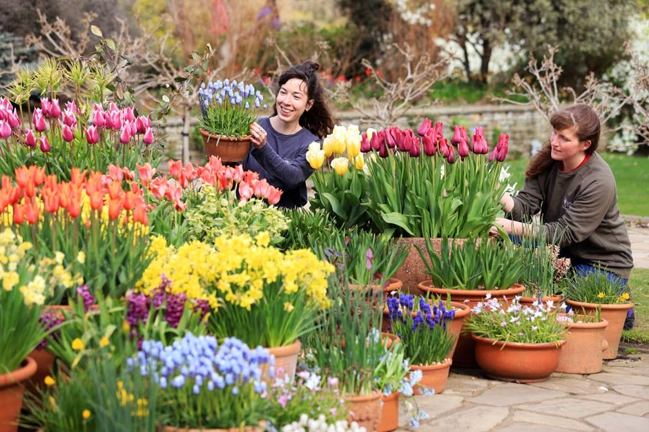 Support the RHS Education programme / RHS