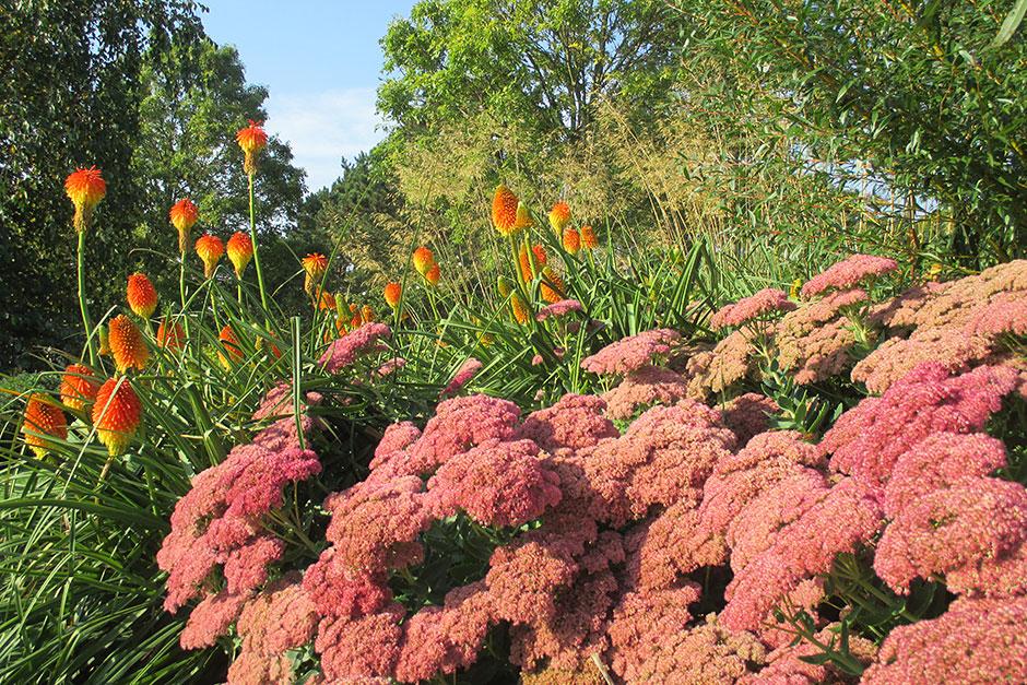 RHS Garden Hyde Hall | Events & attractions in Chelmsford, Essex / RHS ...