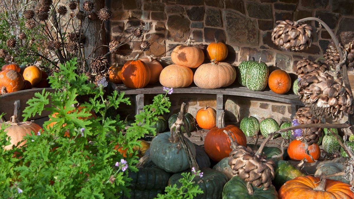 About Rosemoor / RHS Gardening