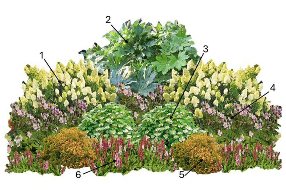 Partial Shade Gardens