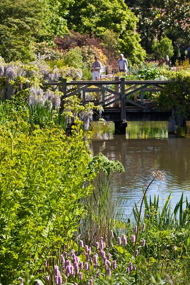 RHS Garden Wisley | Fun, family days out & events in Surrey / RHS Gardening